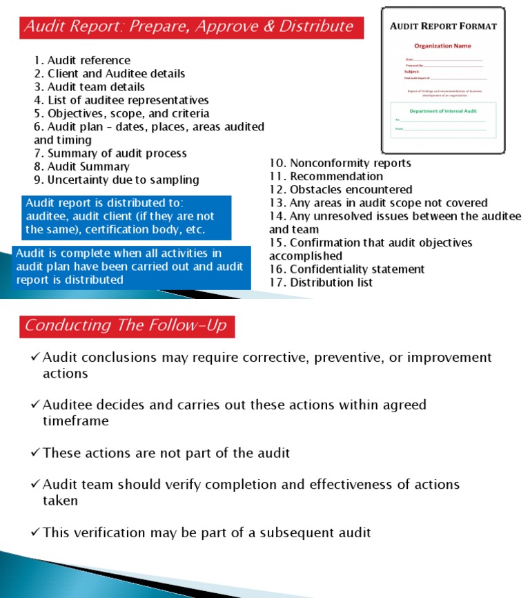 Audit Report Guidelines | PDF