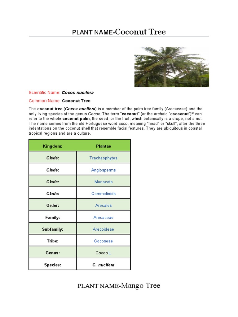 PLANT Research | PDF | Coconut | Arecaceae