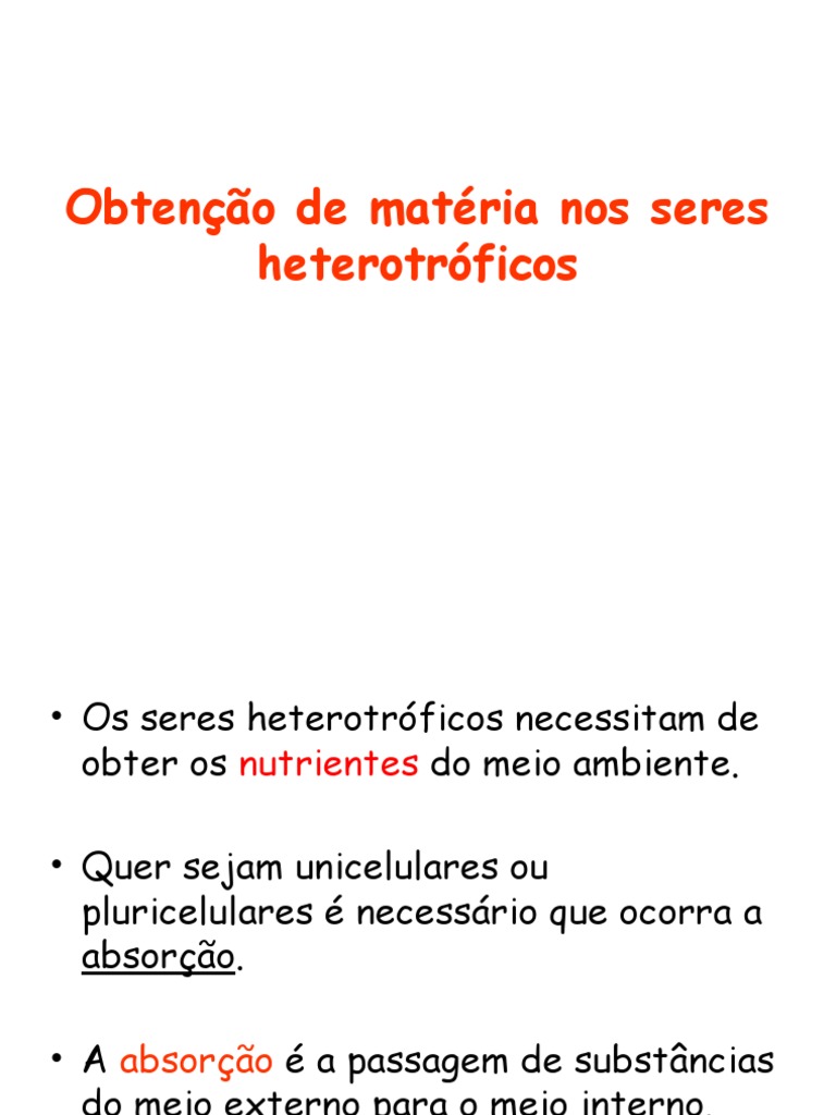 Resumo - Obtenção Da Matéria Pelos Seres Heterotr | PDF