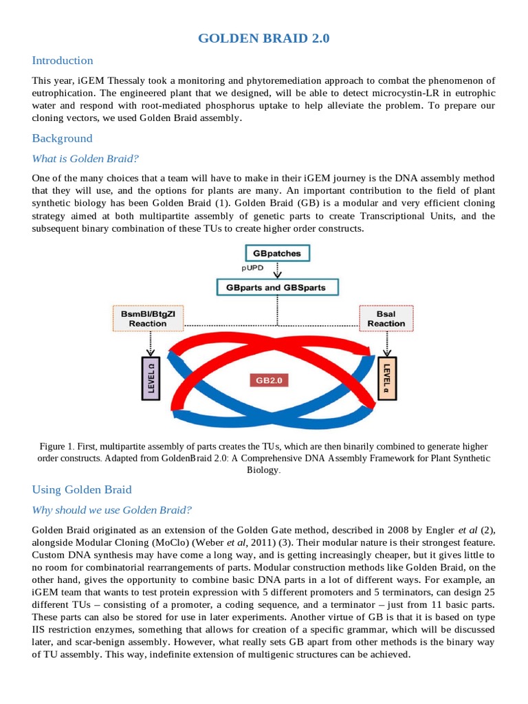 Golden Braid 2.0 | PDF | Molecular Cloning | Vector (Molecular Biology)