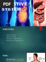 HBT Ultrasound Meaning - Google Search | PDF | Gallbladder | Liver