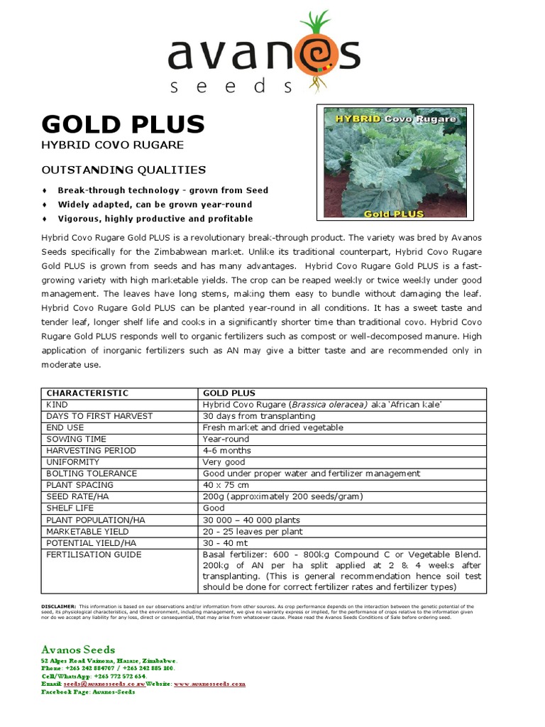 Covo Rugare Gold PLUS | PDF | Fertilizer | Seed