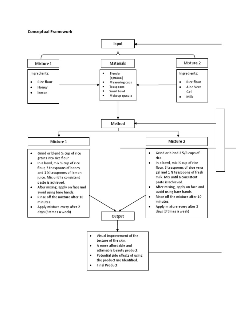 Conceptual Framework | PDF | Rice | Flour