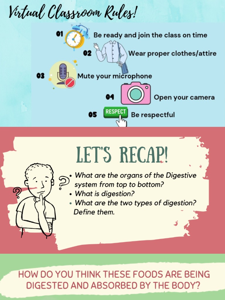 3.2 DIGESTIVE SYSTEM - Grade 8 | PDF