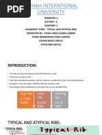 Upper Limb Mnemonics 2 | PDF | Thumb | Hand