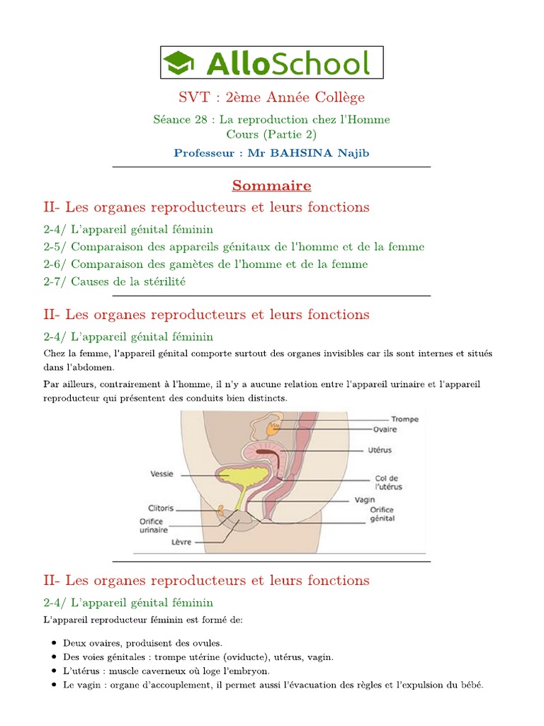 Seance 28 La Reproduction Chez L Homme Cours Partie 2 | PDF