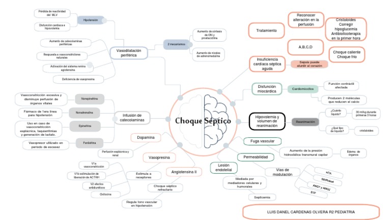 Mapa Choque Septico | PDF | Septicemia | Enfermedades y trastornos