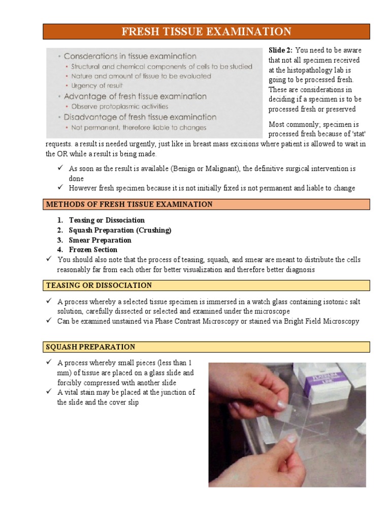 Fresh Tissue Examination | PDF