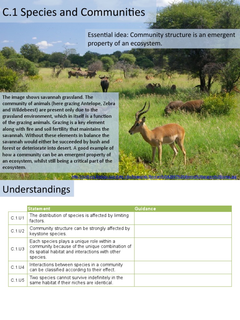 Bio C.1 Species and Communities | PDF | Coral Reef | Coral