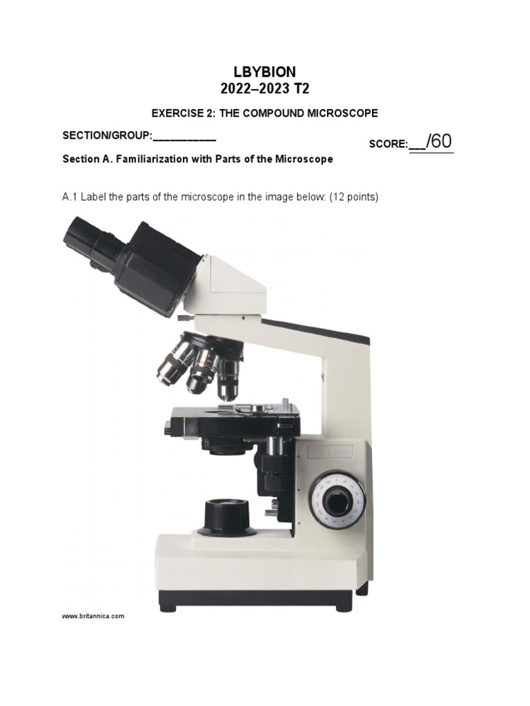 Exercise 2 (Online Version) - The Compound Microscope (Answer Sheet) - Rev - MCFR - DAD | PDF ...