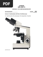 Exercise 2 (Online Version) - The Compound Microscope (Answer Sheet ...