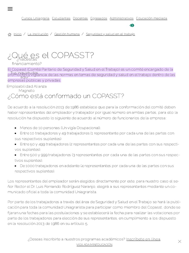 Estructura y Funciones del COPASST | PDF | Seguridad y salud ocupacional