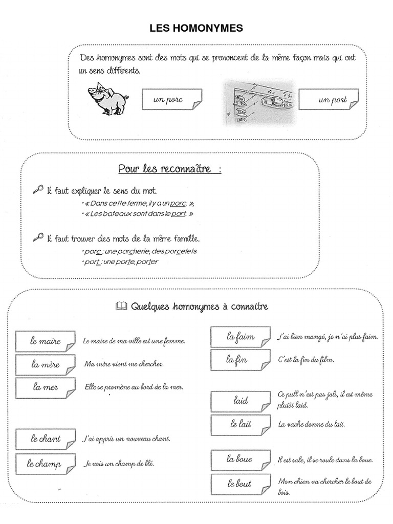 Comprendre les homonymes en français | PDF