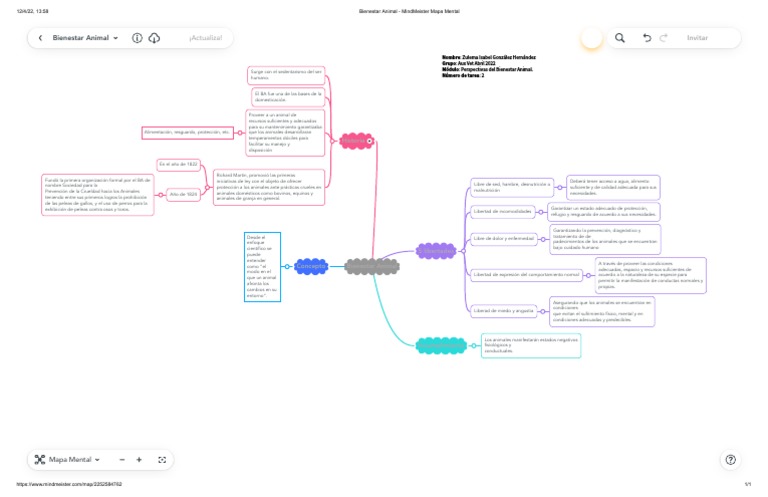 0 - Bienestar Animal - MindMeister Mapa Mental-1 | PDF | Bienestar de los animales | Comportamiento