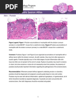 Fizzy and Bandit Teaching Notes | PDF | Adverb | Syntax