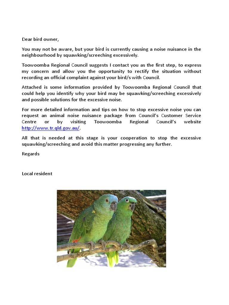 Noisy Bird Fact Sheet and Communication Letter | PDF | Birds | Psychology