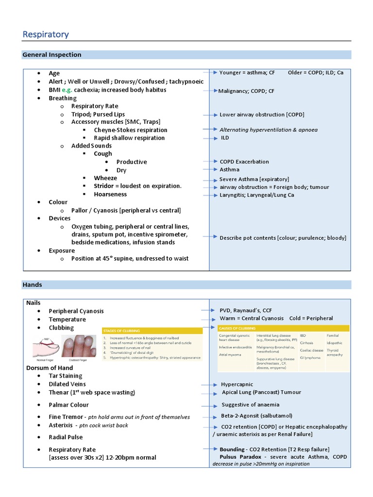 Respiratory | PDF | Lung | Thorax