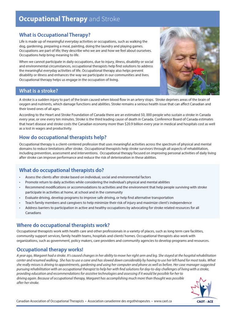 Stroke - Fact Sheet | PDF | Occupational Therapy | Stroke
