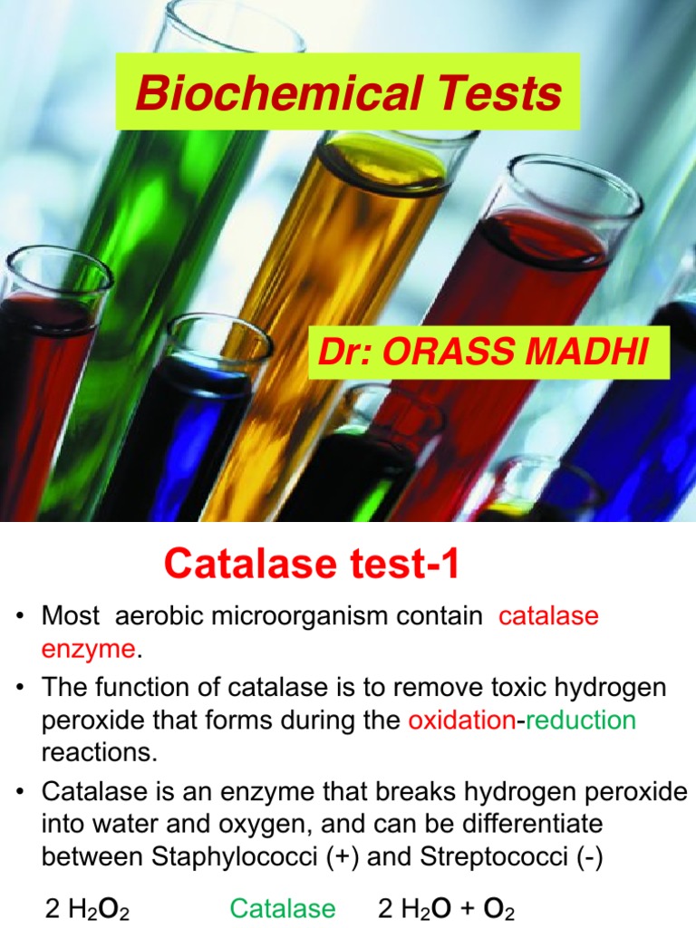 Catalase Test Tube