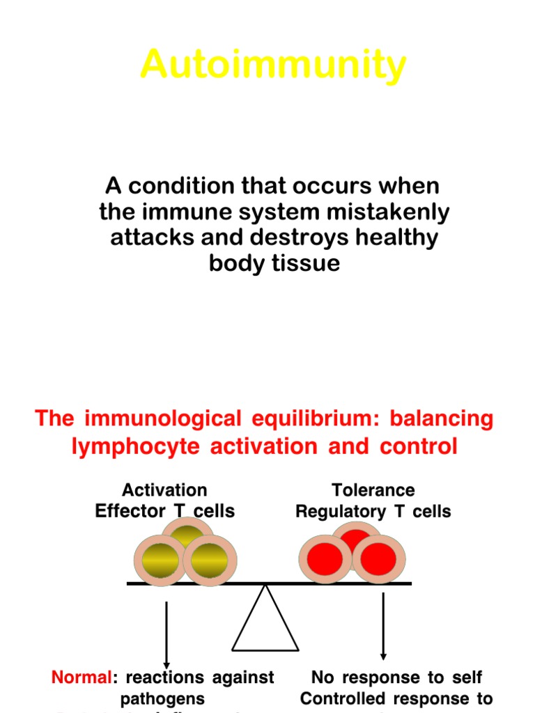 Autoimmunity | PDF | Immune Tolerance | Autoimmunity
