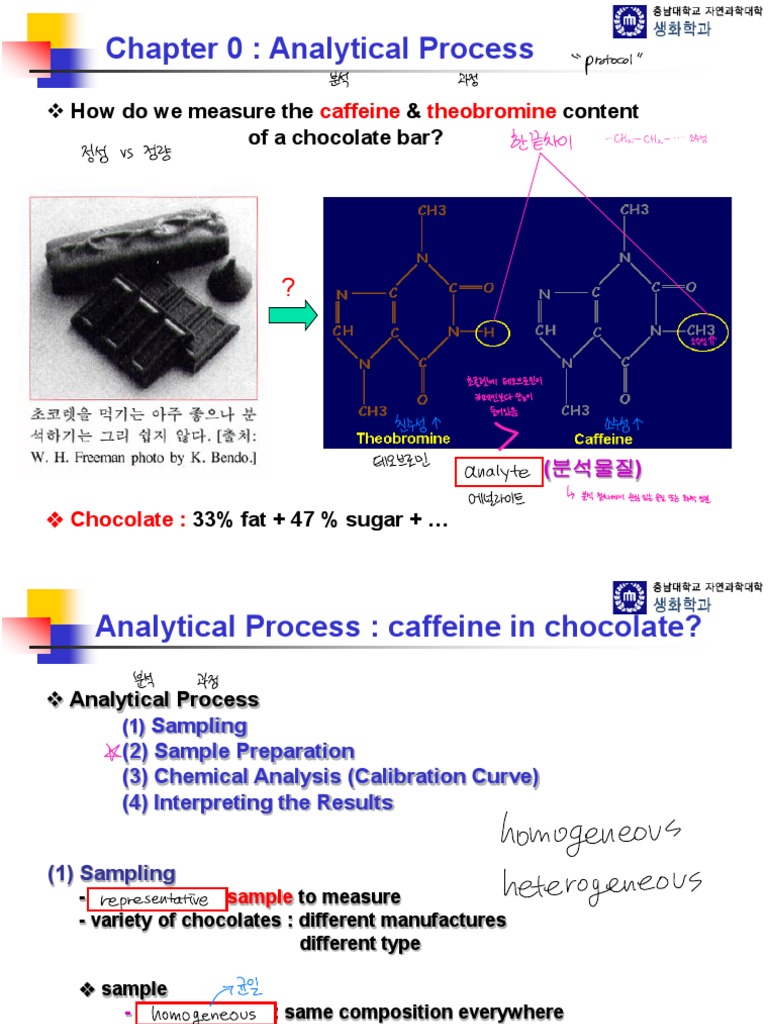 Chapter 0 Analytical Process Blank Pdf