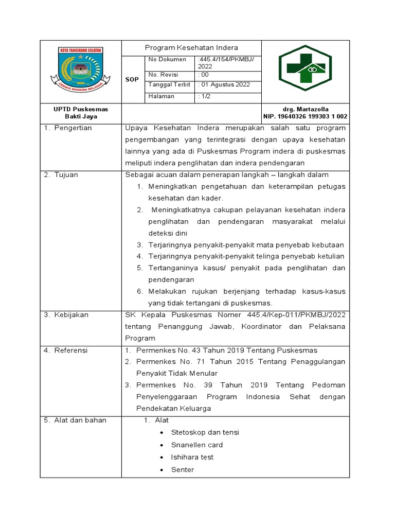 Program Kesehatan Indera Puskesmas | PDF