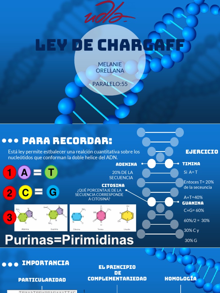 Ley de Chargaff Melanie Orellana | PDF | Adn | Macromoléculas