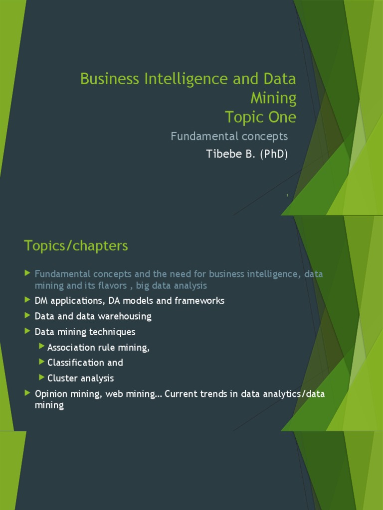 Business Intelligence and Data Mining Topic One: Fundamental Concepts ...