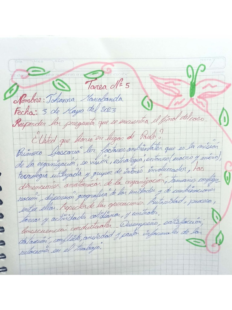 Tarea N.5 Diseño Organizacional | PDF