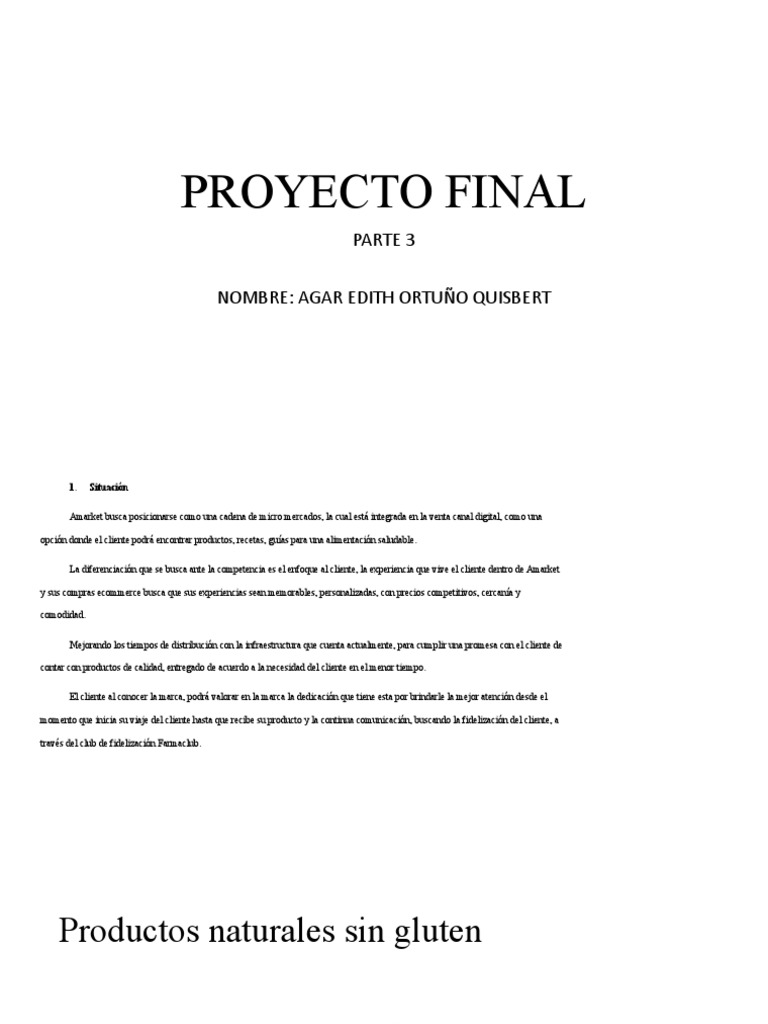 Proyecto Final Parte 3 | PDF