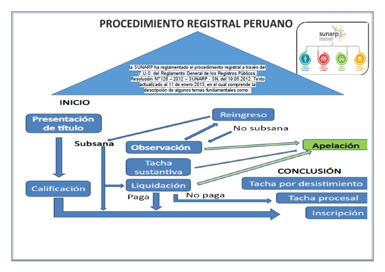Infografia Procedimiento Registral Peruano | PDF
