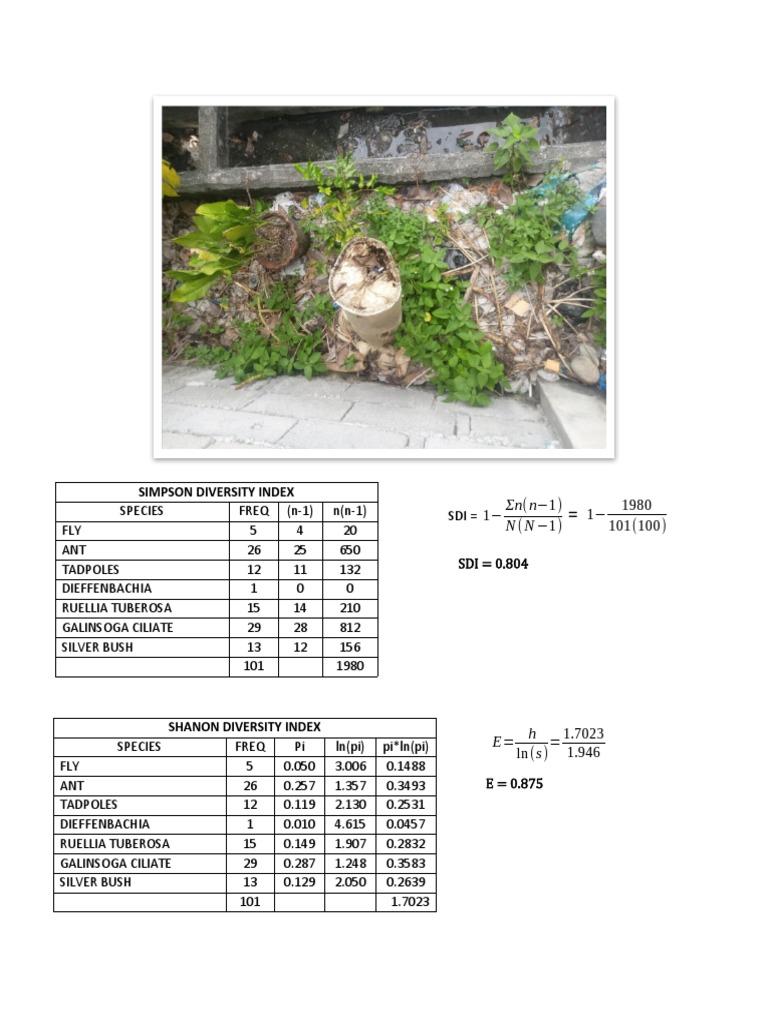 Simpson Diversity Index Pdf
