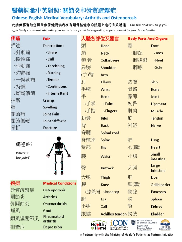 Chinese English Medical Vocabulary Arthritis and Osteoporosis | PDF ...
