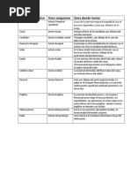 Ubicación del pulso cubital | PDF