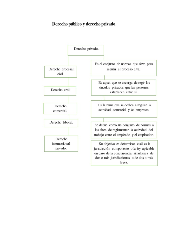 Definición y Ejemplos de Derecho Privado | PDF | Ley Pública | Gobierno