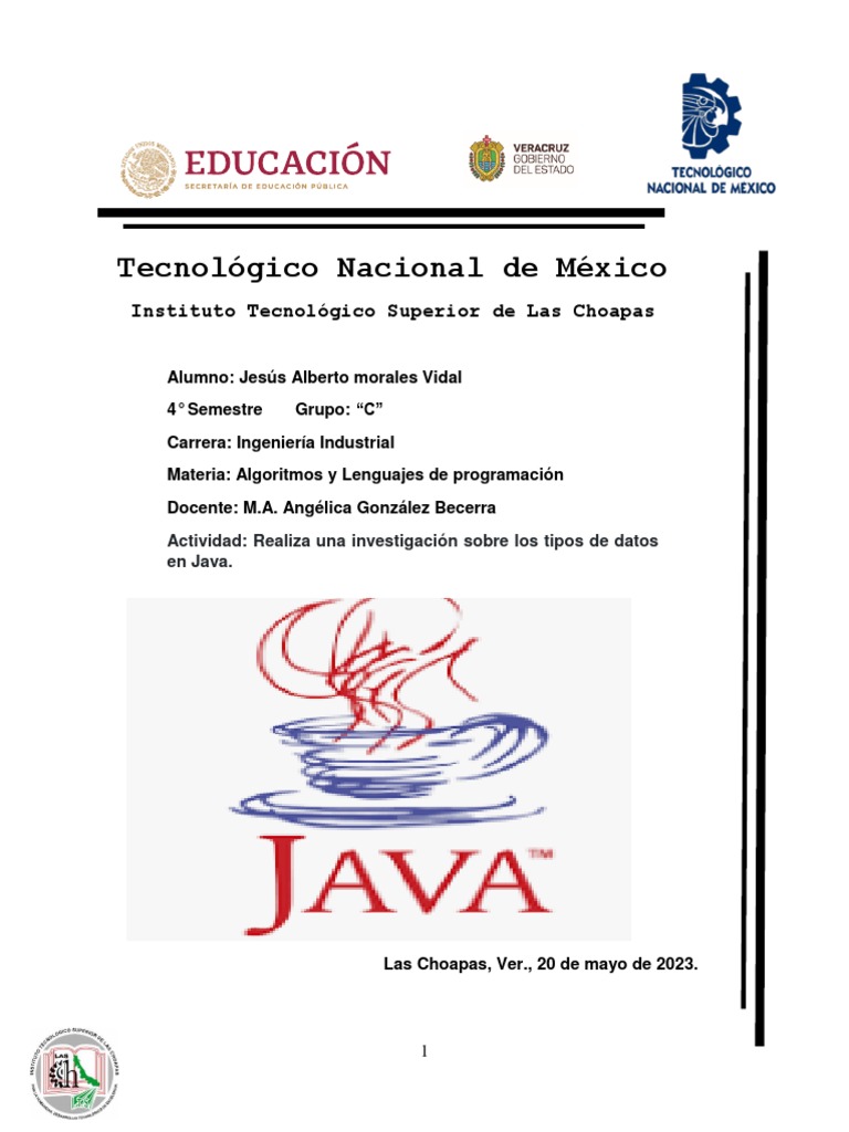 Investigacion Java | PDF | Java (lenguaje de programación) | Software de la aplicacion