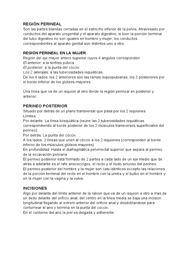 Anatomía del Perineo Femenino | PDF | Vagina | Pelvis
