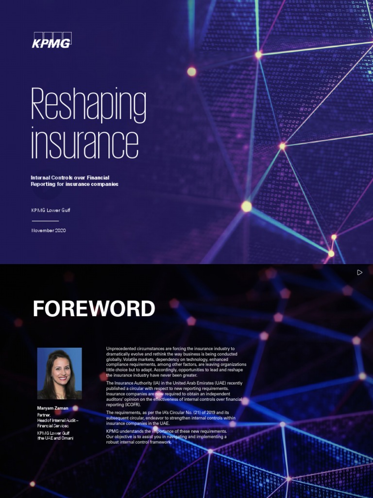 Reshaping Insurance | PDF | Internal Control | Audit
