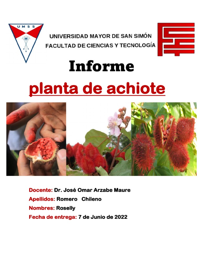 Planta de Achiote-Roselly Romero Chileno | PDF | Américas | Perú