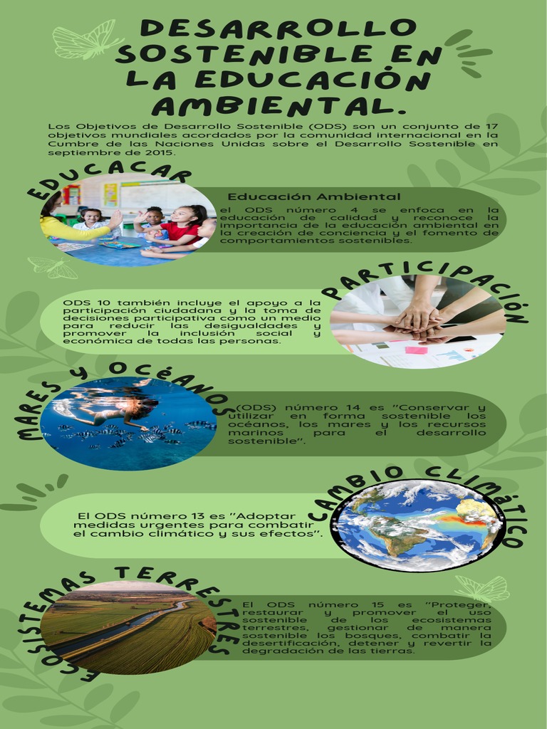 Infografía Infografia | PDF | Sustentabilidad | Conservación del medio ...