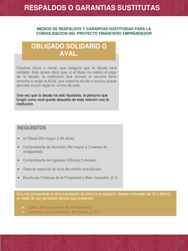 Respaldos o Garantias Sustitutas | PDF | Deuda | Pagos