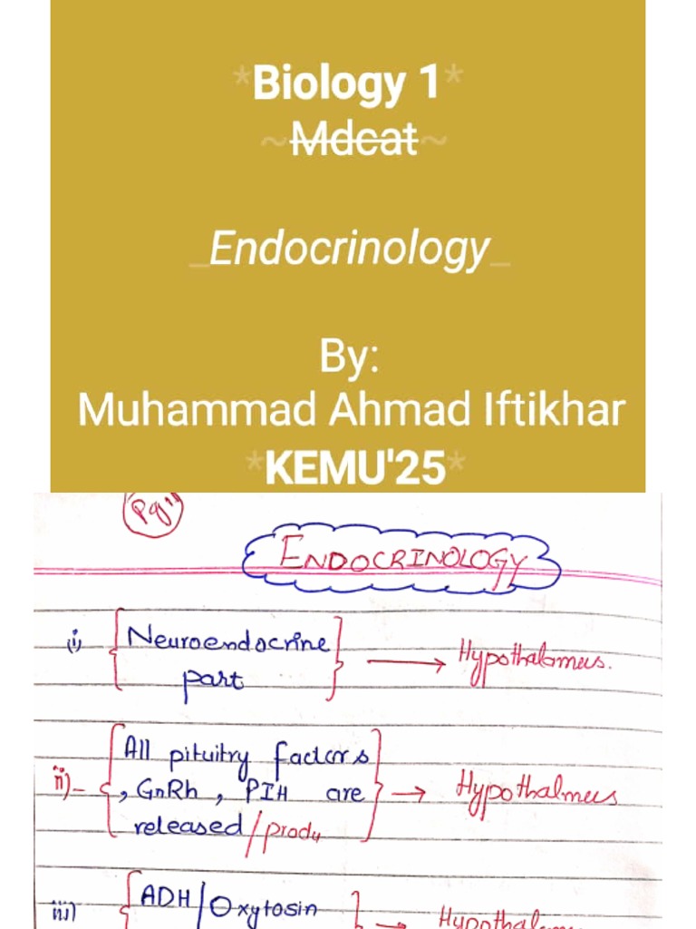 Endocrinology | PDF