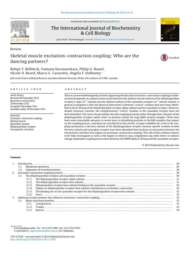 4 - MEsq - Dulhunty Int J Biochem Cell Biol 2014 Review | PDF | Muscle ...