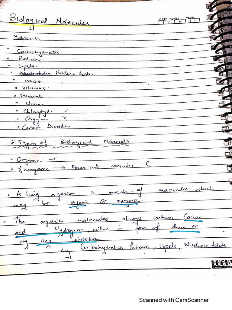 Biological Molecules Pdf