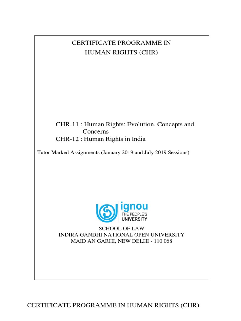 Human Rights Assignment Guide | PDF | Human Rights | Rights