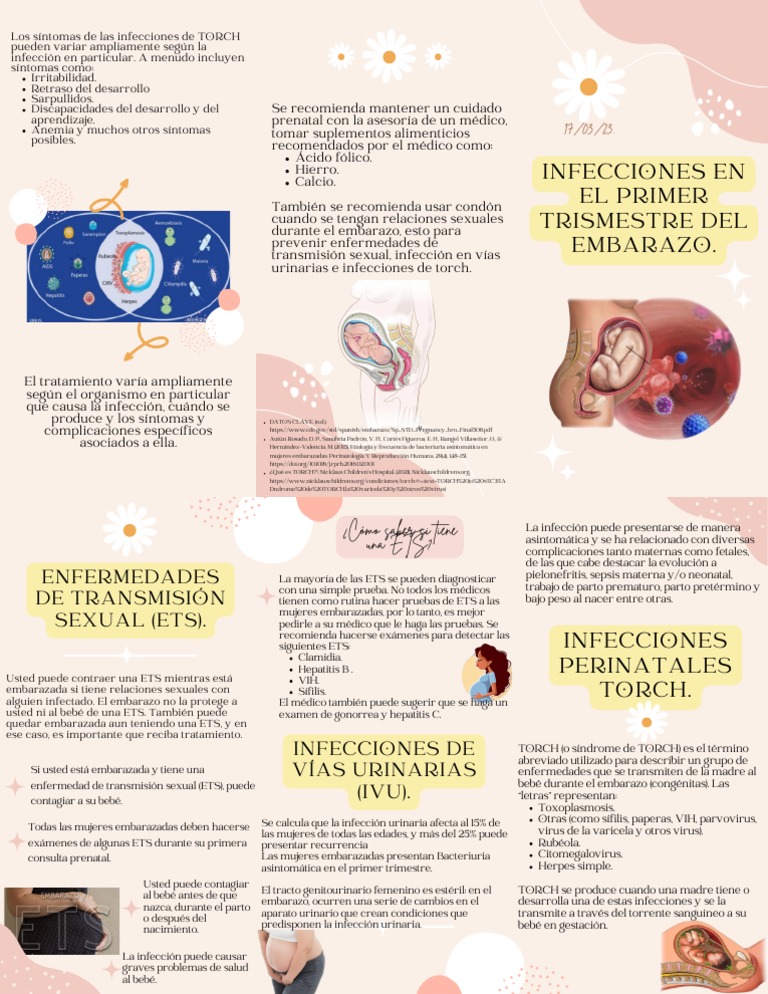 Infecciones Durante El Embarazo | PDF | Infección transmitida ...
