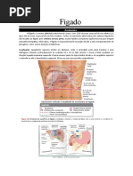 Anatomia e Histologia Do Fígado | PDF | Fígado | Hepatócito