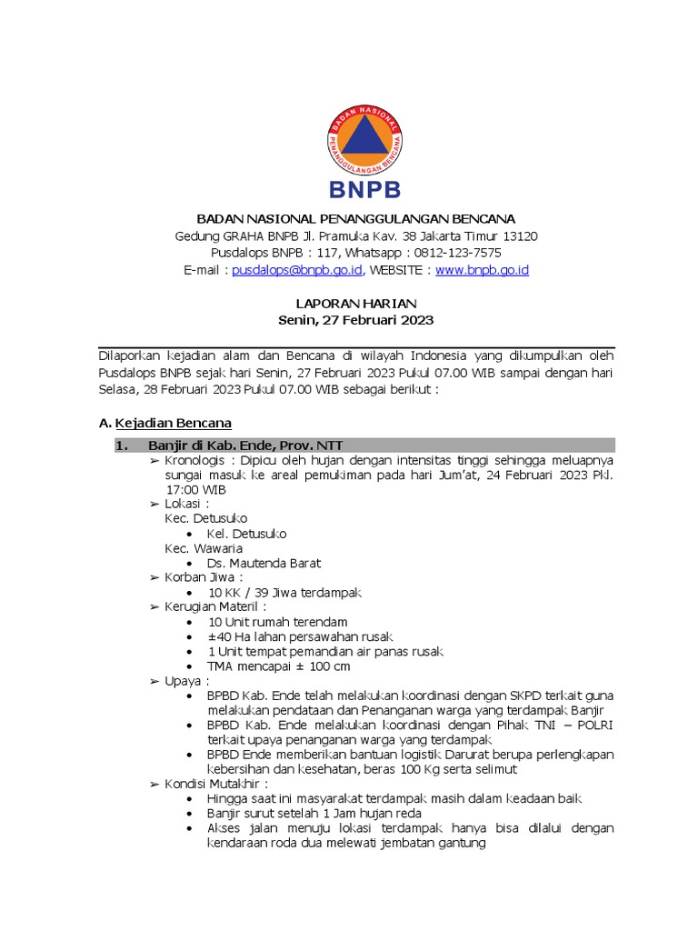 Laporan Bencana Harian BNPB | PDF