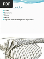 Protocolo de Tinción Diff-Quik en Citología | PDF | Tinción | Biología ...