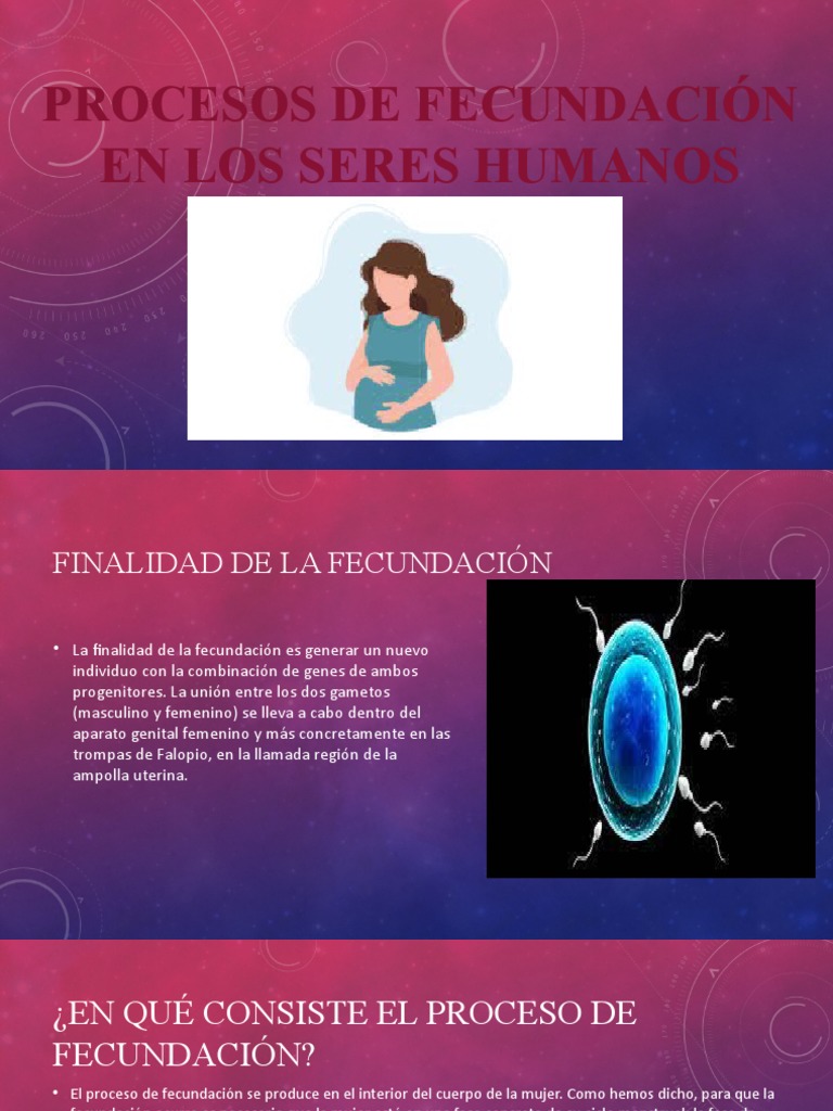 Procesos de Fecundación en Los Seres Humanos | PDF | Procesos ...